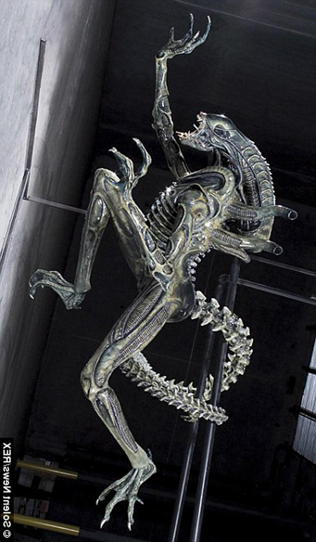 Discovering strange creatures resembling alien monsters - Best Hunter Zone